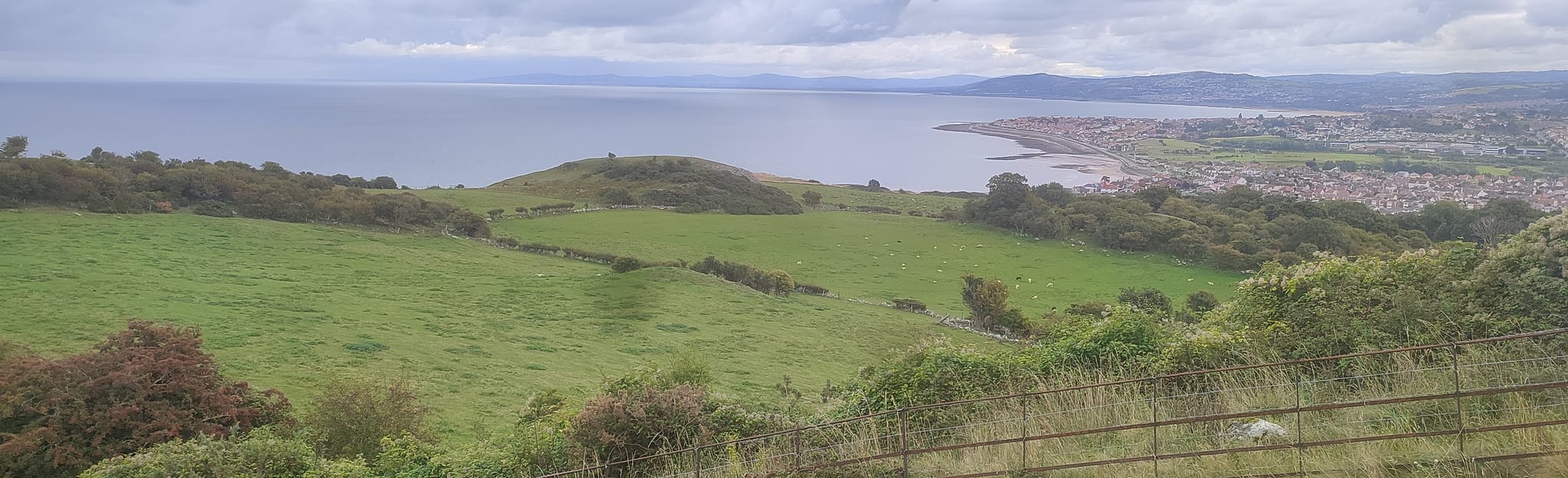 Little Orme and Angel Bay: 139 Reviews, Map - Conwy, Wales | AllTrails