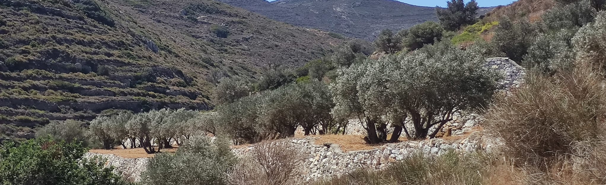 Prodromos - Byzantine Road - Agia Kyriaki Monastery Loop: 2 Reviews ...