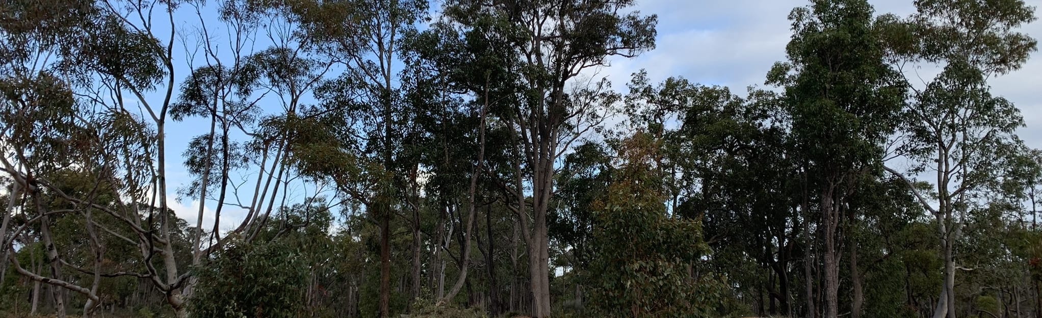 Crooked Brook, Western Australia, Australia - 12 Reviews, Map | AllTrails