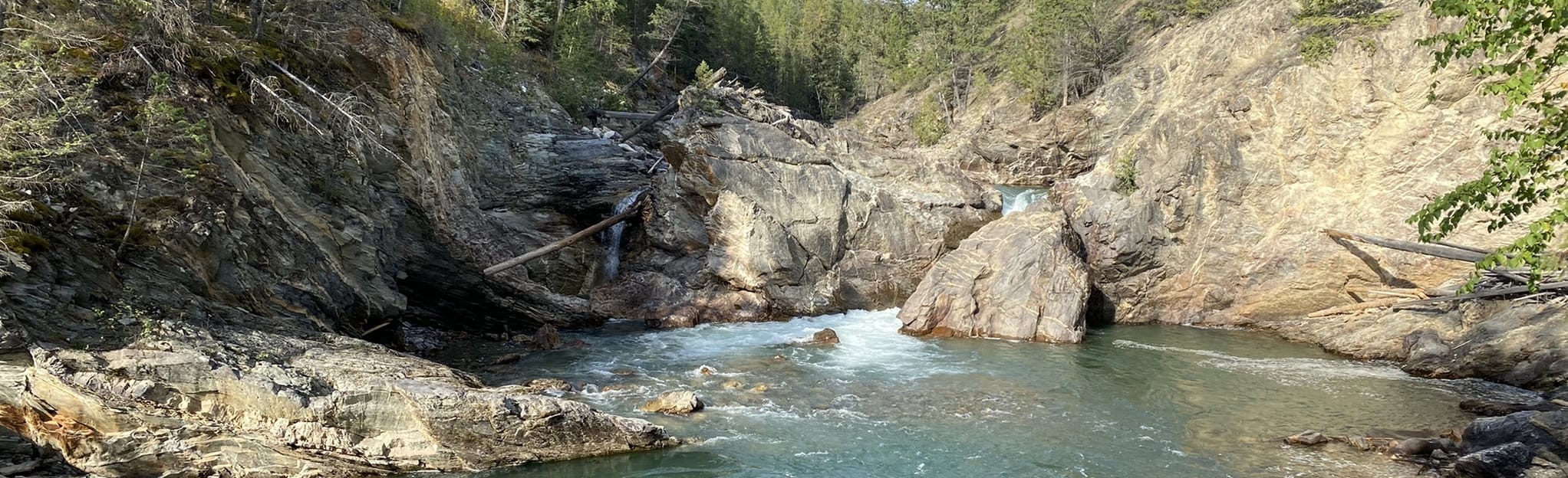 Findlay Falls Trail: 108 Reviews, Map - British Columbia, Canada ...