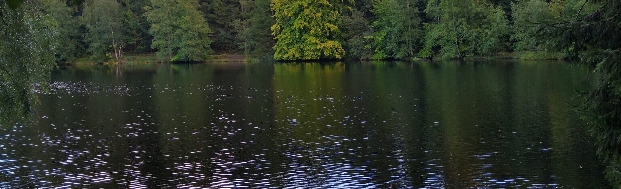 Velling Skov - Hundsø: 10 Fotos - Region Midtjylland, Dänemark | AllTrails