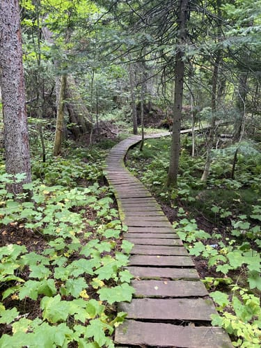 Best 10 Hikes and Trails in Copper Harbor Trail System | AllTrails