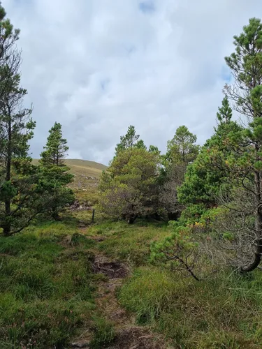 10 Best Hikes and Trails in Wild Nephin National Park | AllTrails