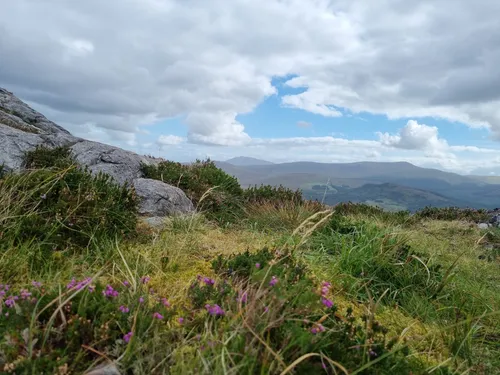 Nationaal Park Wild Nephin: de 10 beste routes om te wandelen | AllTrails