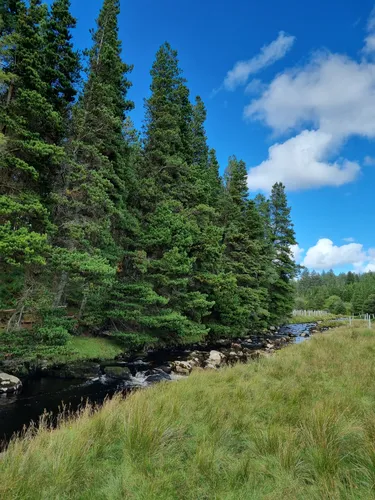 10 Best Hikes and Trails in Wild Nephin National Park | AllTrails