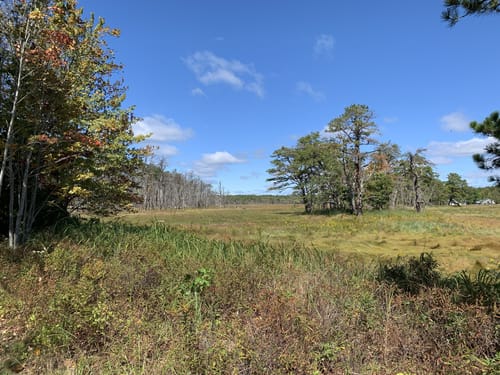 Best Hikes and Trails in Rachel Carson National Wildlife Refuge | AllTrails