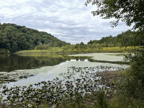 2023 Best Lake Trails in Scottsburg | AllTrails