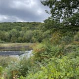 Northern Rail Trail, New Hampshire - 505 Reviews, Map | AllTrails