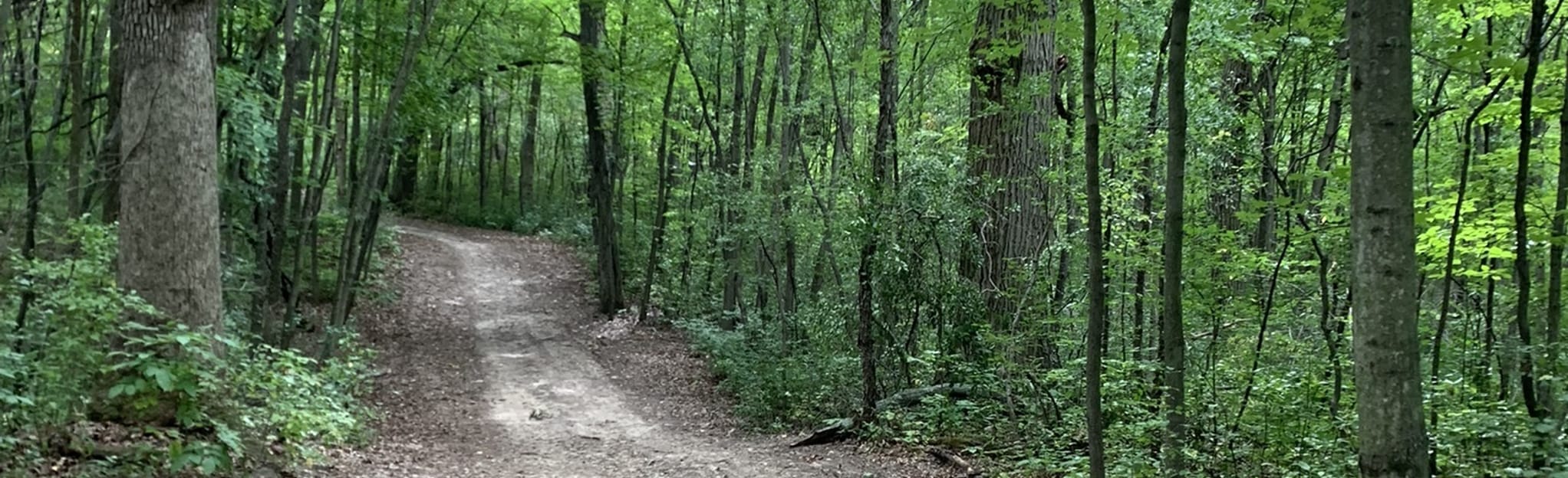 Minooka Park Mountain Bike Loop : 77 Photos - Wisconsin | Randonnée | AllTrails