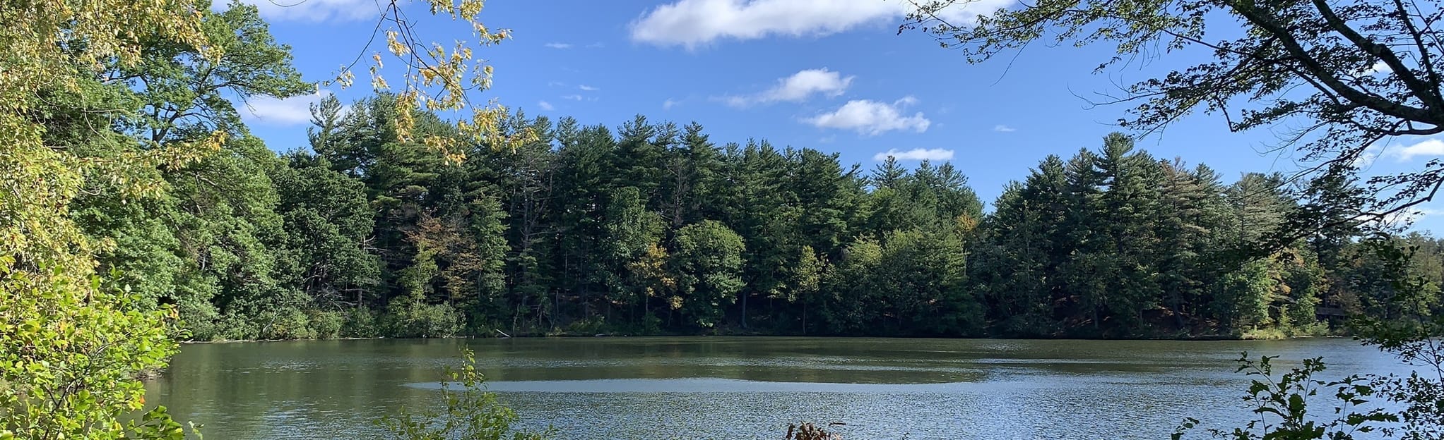 Mine Falls Green Trail Loop, New Hampshire - 1,204 Reviews, Map | AllTrails