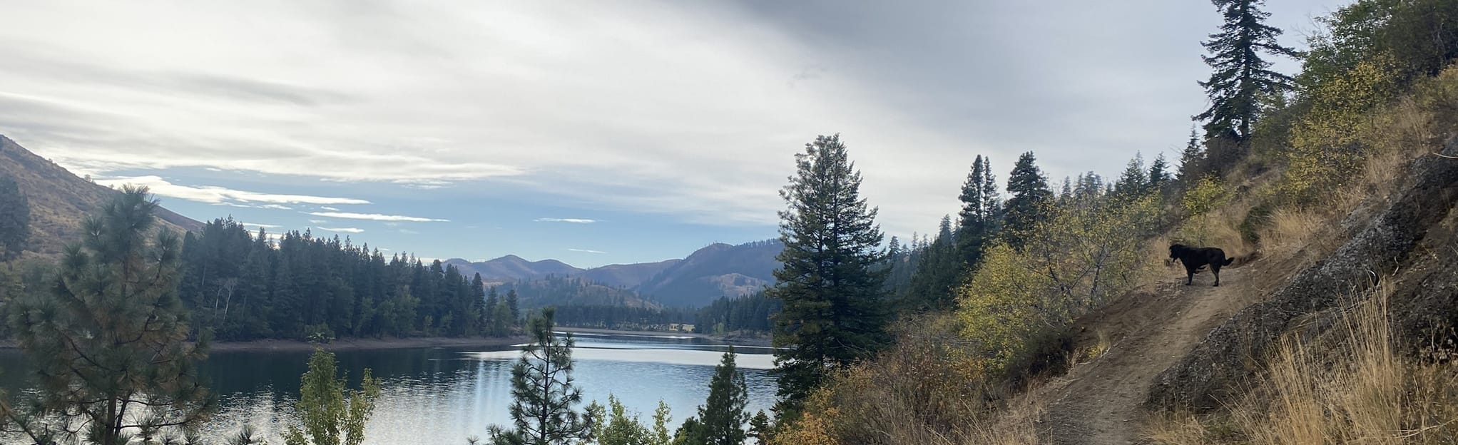 Patterson Lake via Rader Creek: 120 Reviews, Map - Washington | AllTrails