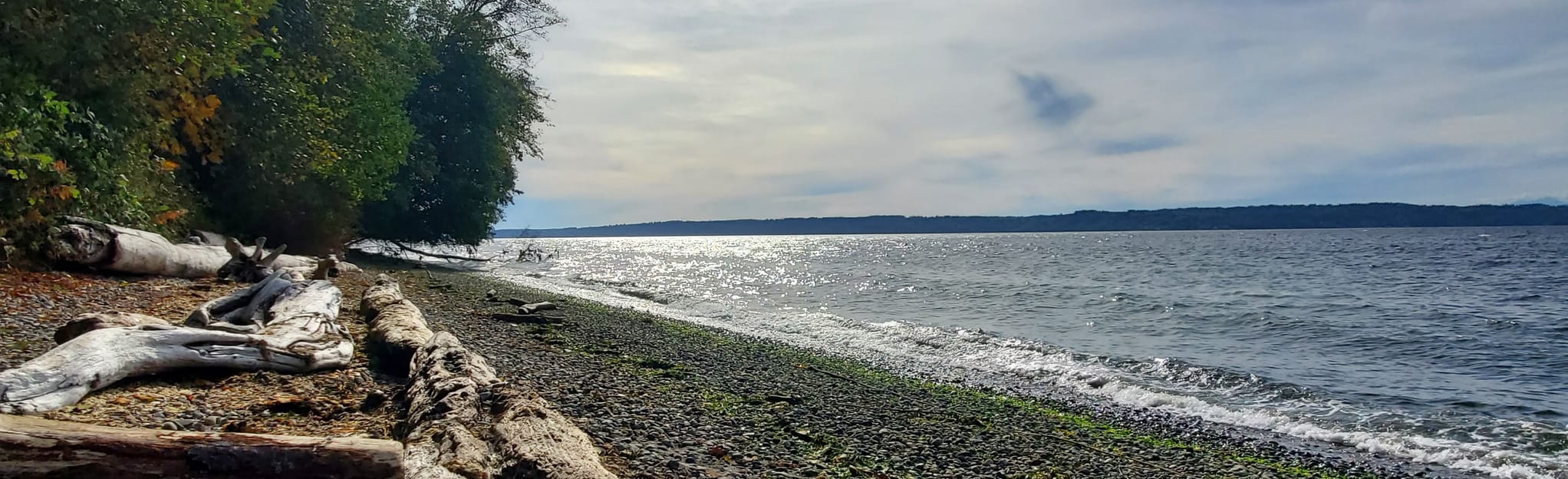 Seahurst Park Beach - Washington | AllTrails