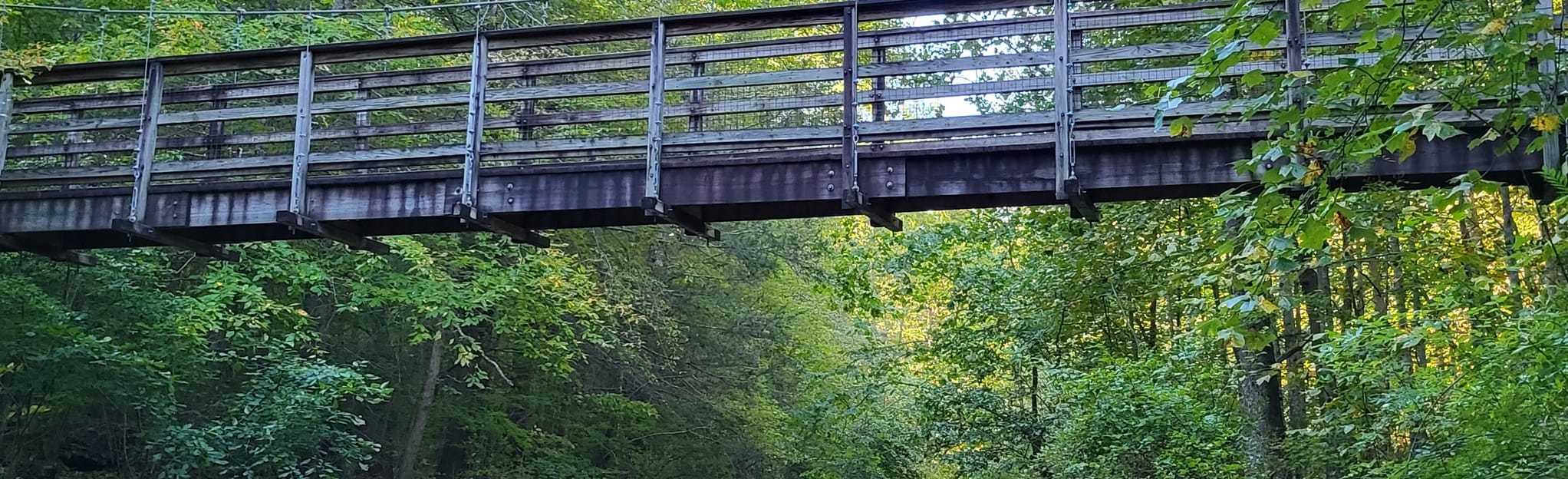 George Washington North River Gorge Trail: 147 foto's - Virginia ...