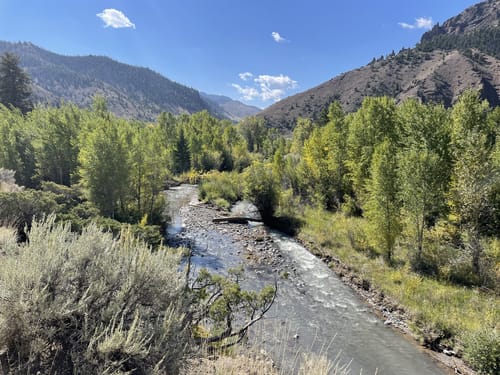 2023 Best 10 Easy Trails in Shoshone National Forest | AllTrails