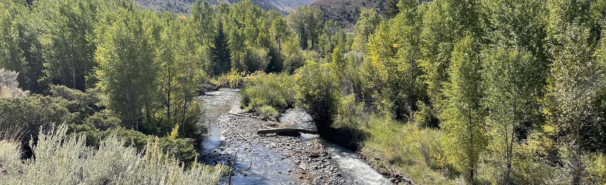 Sweetwater River Trail, Wyoming - 59 Reviews, Map | AllTrails