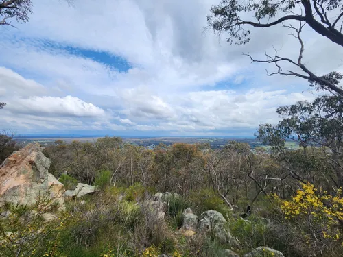 Best Wild Flowers Trails in Heathcote-Graytown National Park | AllTrails