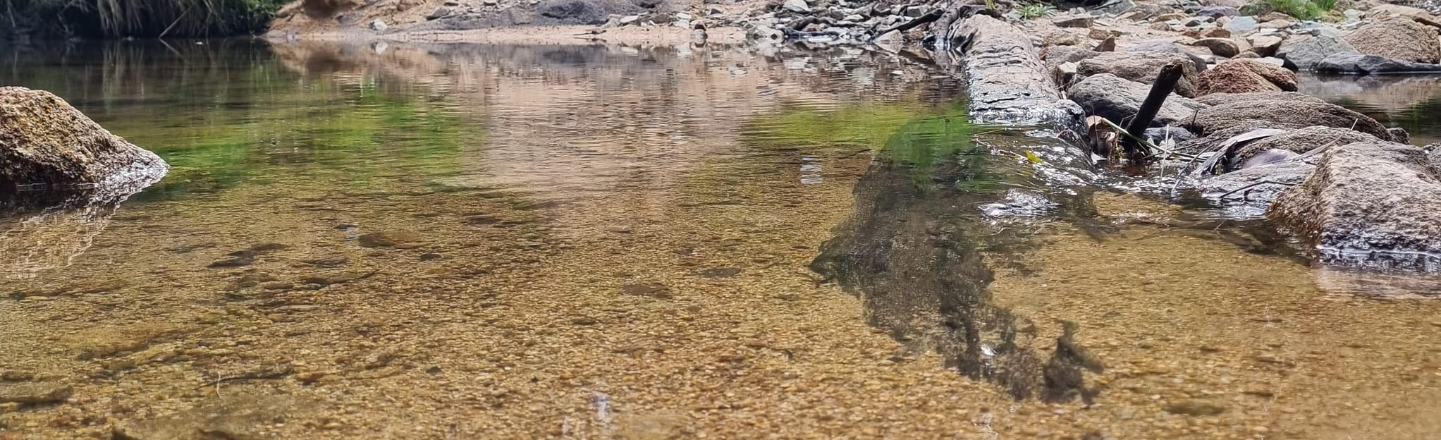 Mogo MTB Loop, New South Wales, Australia - 8 Reviews, Map | AllTrails