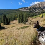 Wheeler Pass Trail, Colorado - 92 Reviews, Map | AllTrails