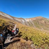Wheeler Pass Trail, Colorado - 92 Reviews, Map | AllTrails