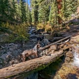 Wheeler Pass Trail, Colorado - 92 Reviews, Map | AllTrails