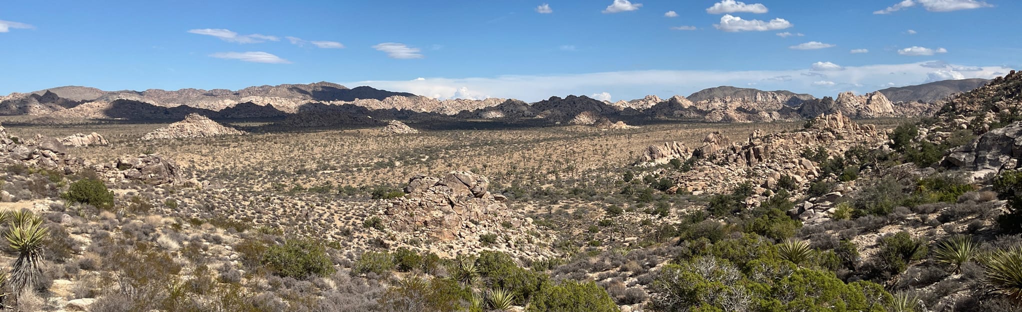Quail Mountain Loop via Quail Springs Historic Trail and Johnny Lang ...