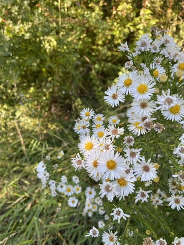 Best Hikes and Trails in Layton Commons Park | AllTrails