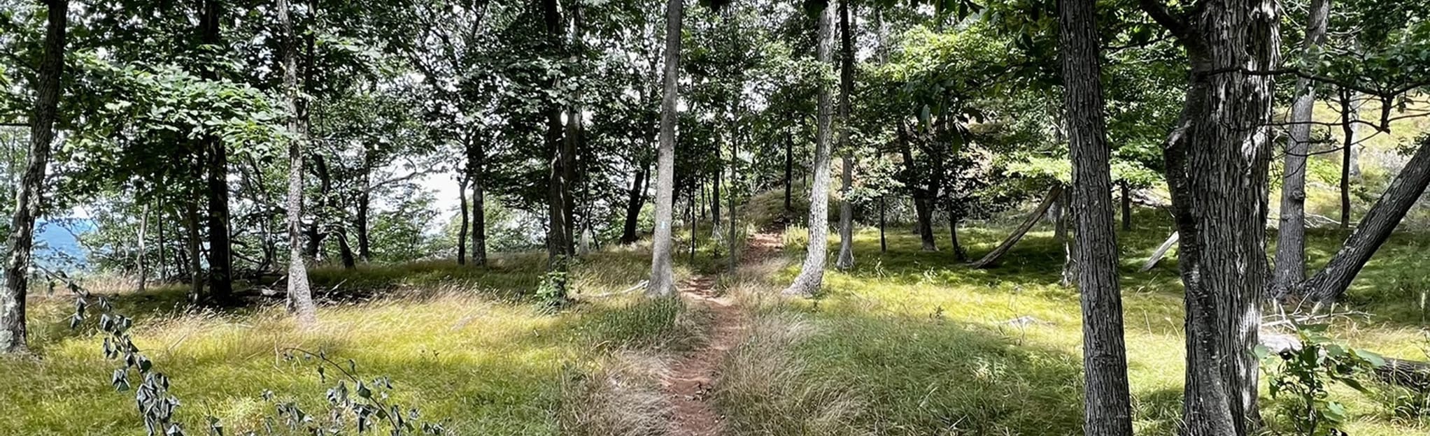 Mount Higby via Tynan Park Connector and Mattabesett Blue Trail, 781 ...