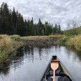 Big Trout Lake Loop, Ontario, Canada - 40 Reviews, Map | AllTrails