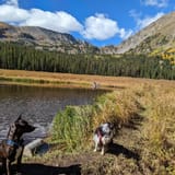 Wheeler Pass Trail, Colorado - 92 Reviews, Map | AllTrails