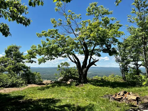 10 Best Trails and Hikes in Holyoke | AllTrails