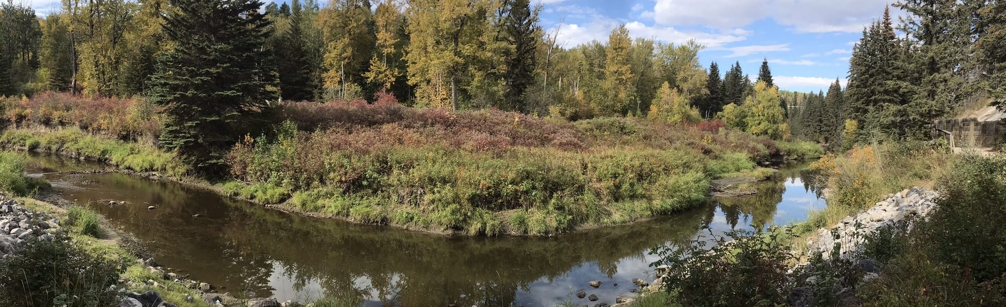 Whitemud Park Trail - Alberta, Canada | AllTrails