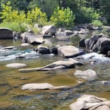 Silver Mine Trail, Missouri - 239 Reviews, Map | AllTrails