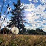 Tolt Pipeline Trail, Washington - 353 Reviews, Map | AllTrails