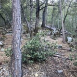 Way of the Mono Trail, California - 405 Reviews, Map | AllTrails