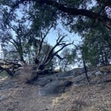 Way of the Mono Trail, California - 405 Reviews, Map | AllTrails