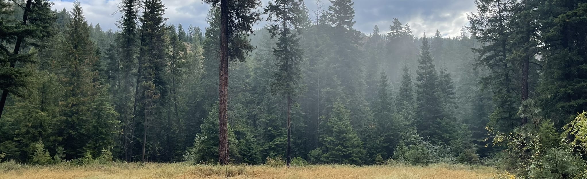 Spring Creek Trail, Montana - 9 Reviews, Map | AllTrails