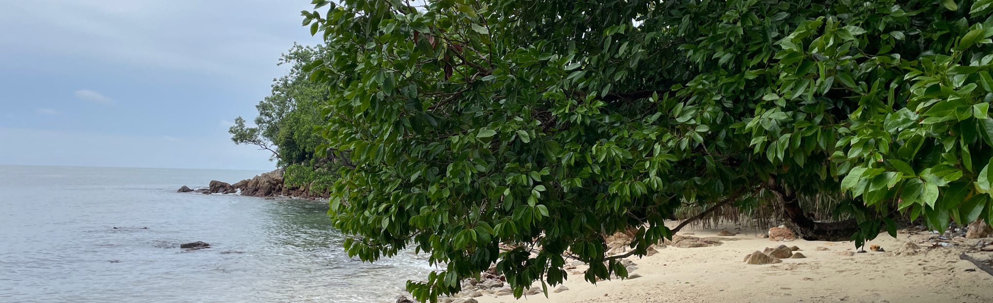 Cape Rachado Lighthouse - Dutch Well Loop, 101 Fotos - Negeri Sembilan ...