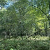 Pawcatuck River Loop, Rhode Island - 243 Reviews, Map | AllTrails