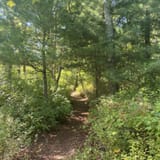 Pawcatuck River Loop, Rhode Island - 243 Reviews, Map | AllTrails