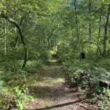 Pawcatuck River Loop, Rhode Island - 243 Reviews, Map | AllTrails