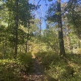 Pawcatuck River Loop, Rhode Island - 243 Reviews, Map | AllTrails
