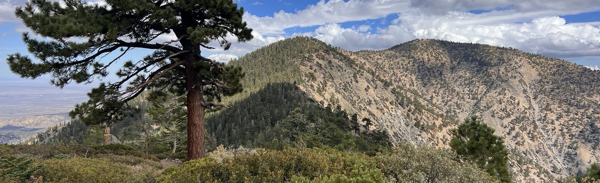 Angeles Crest Loop: 18 Reviews, Map - California | AllTrails