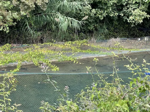 Best Wildlife Trails in Nahal Snir Nature Reserve | AllTrails