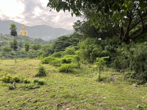 2023 Best Forest Trails in Khok Samrong | AllTrails