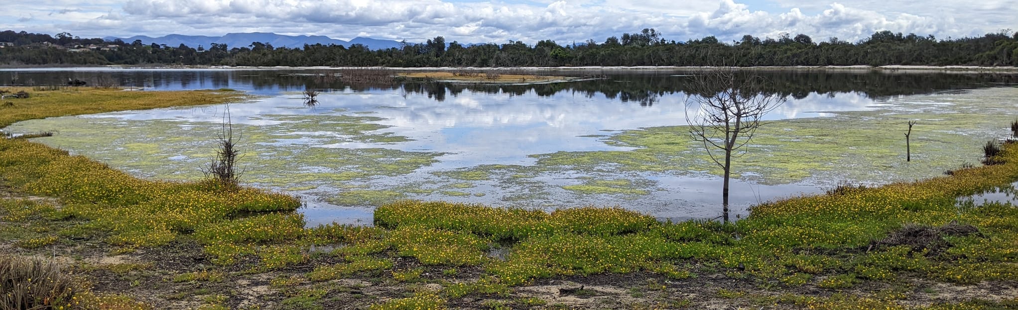 Bingi Dreaming Track: 36 Reviews, Map - New South Wales, Australia ...