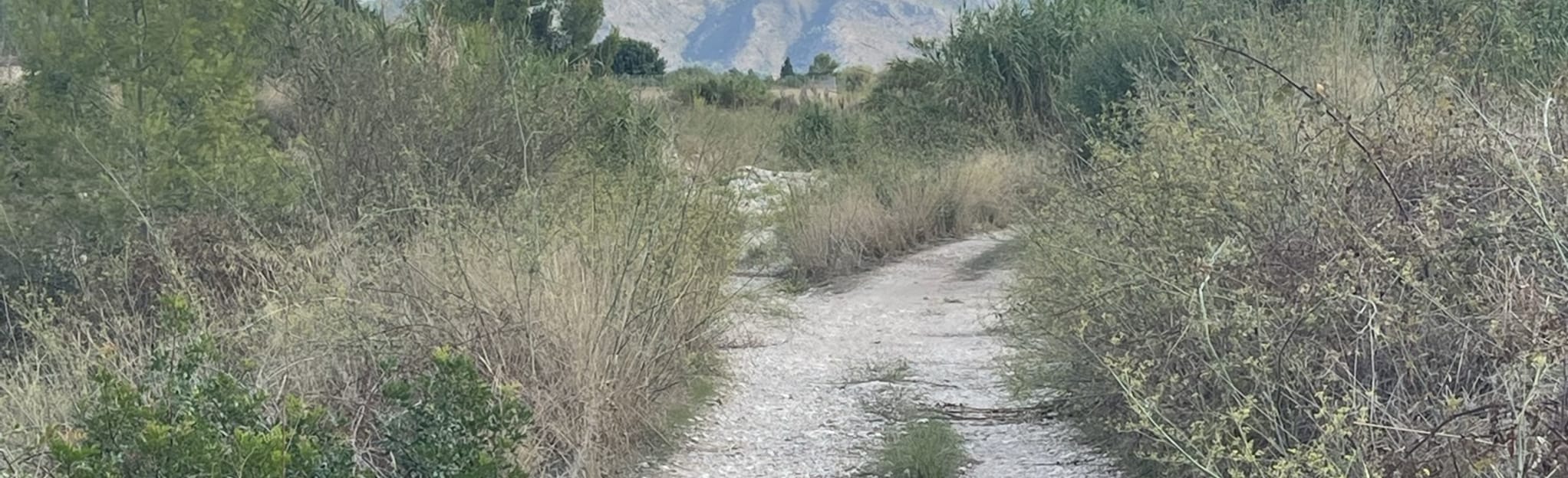 Orba - Barranc de la Foia del Conill - Corral del Cigro - Río Girona ...