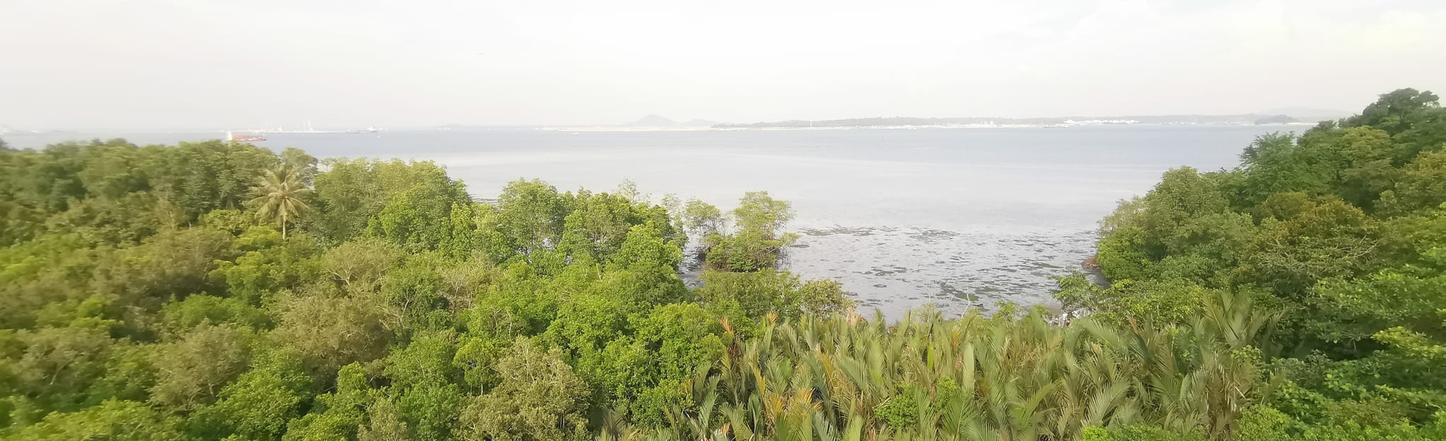 Lions Rock and Jejawi Tower Loop: 284 foto's - Central Region ...