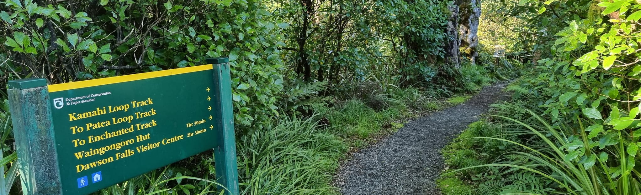 Patea Loop Track, Manawatū-Whanganui, New Zealand - 25 Reviews, Map ...