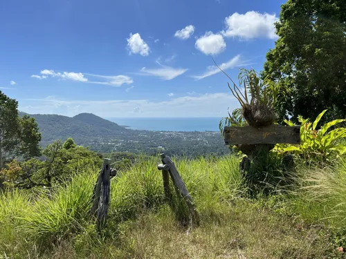 2023 Best 10 Trails and Hikes in Ko Samui | AllTrails