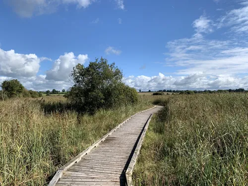 Best Hikes and Trails in Pollardstown Fen Nature Reserve | AllTrails